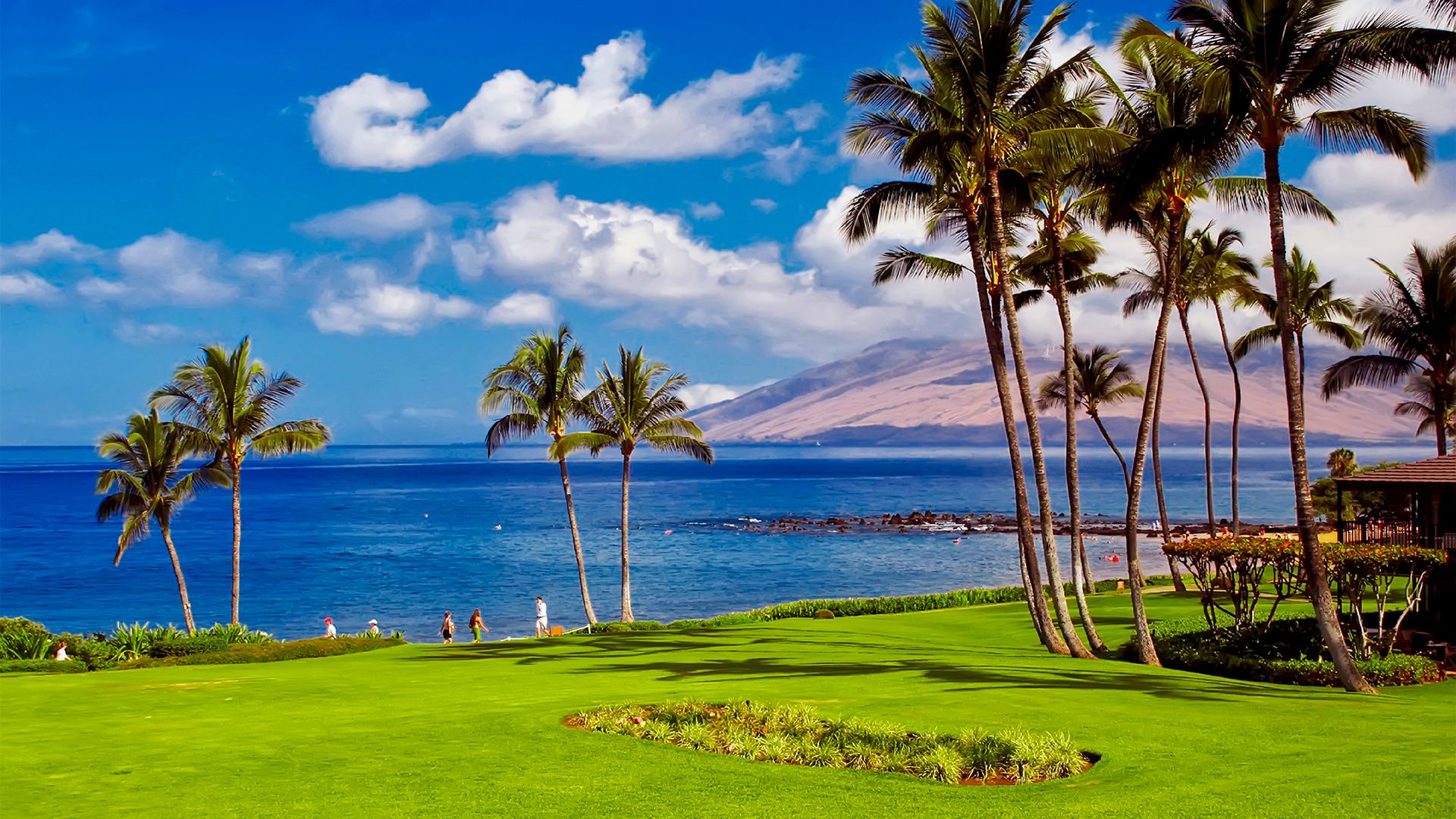 Maui Life Style - Maui is Amazing-What's Your Lifestyle?